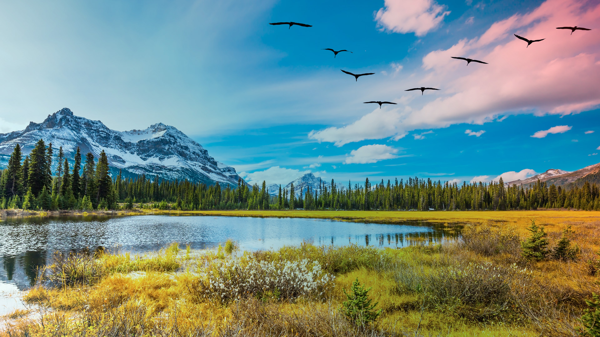 Who We Are - Canada's Paint and Coatings Industry