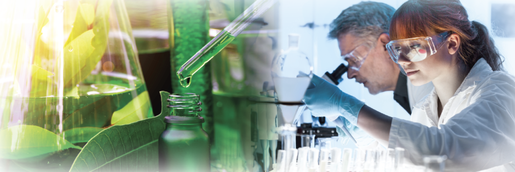 Research & Innovation - CCA